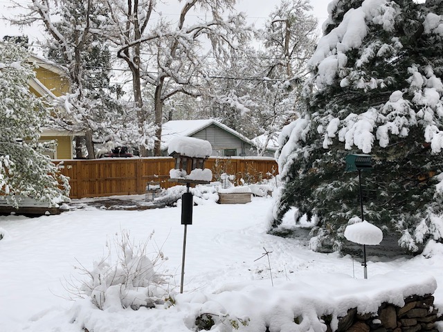 It’s Not Nice to Fool (with) Mother Nature! | Writes of Nature